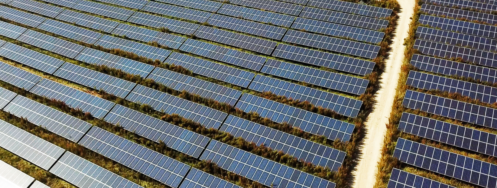 About Us | Octopus Energy